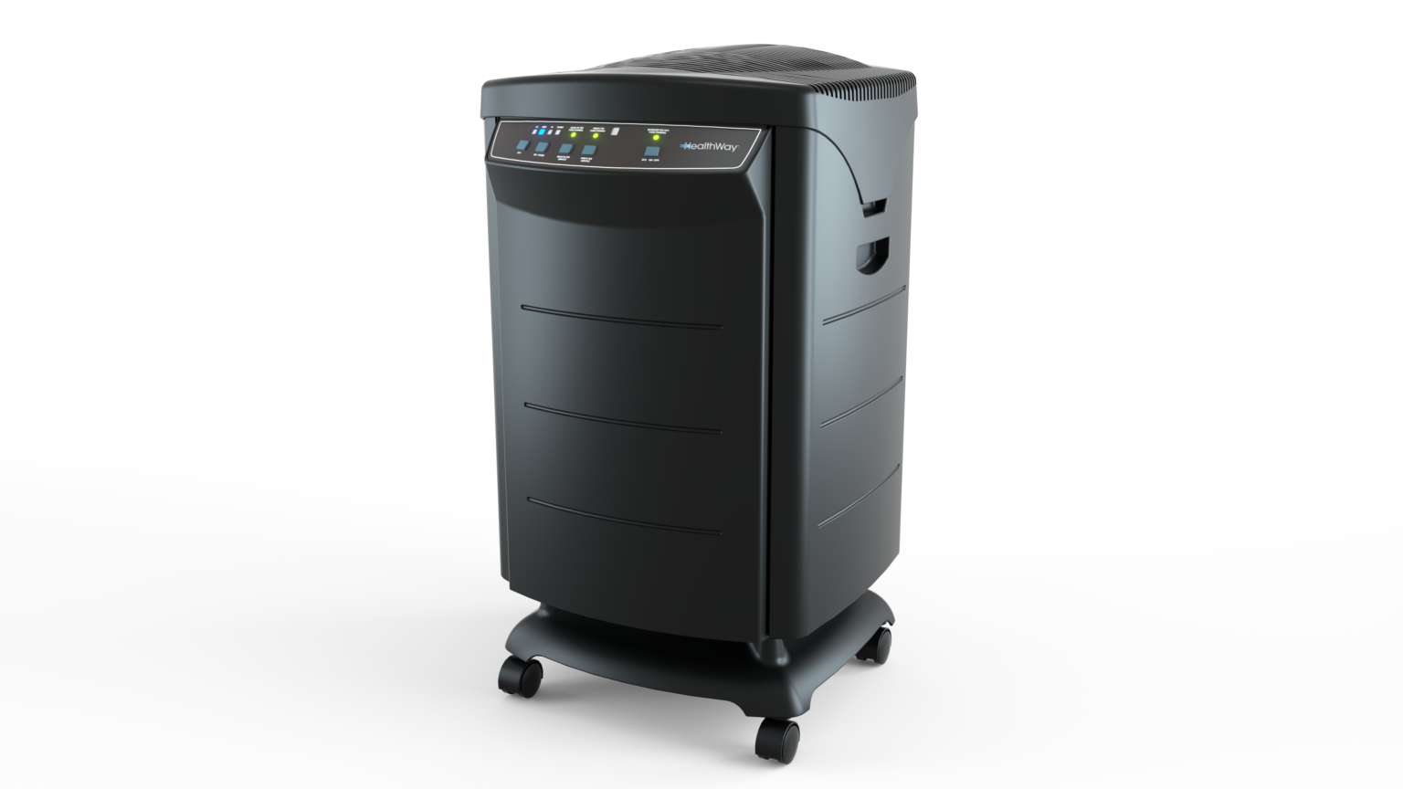 Deluxe Main Filter Replacement | HealthWay